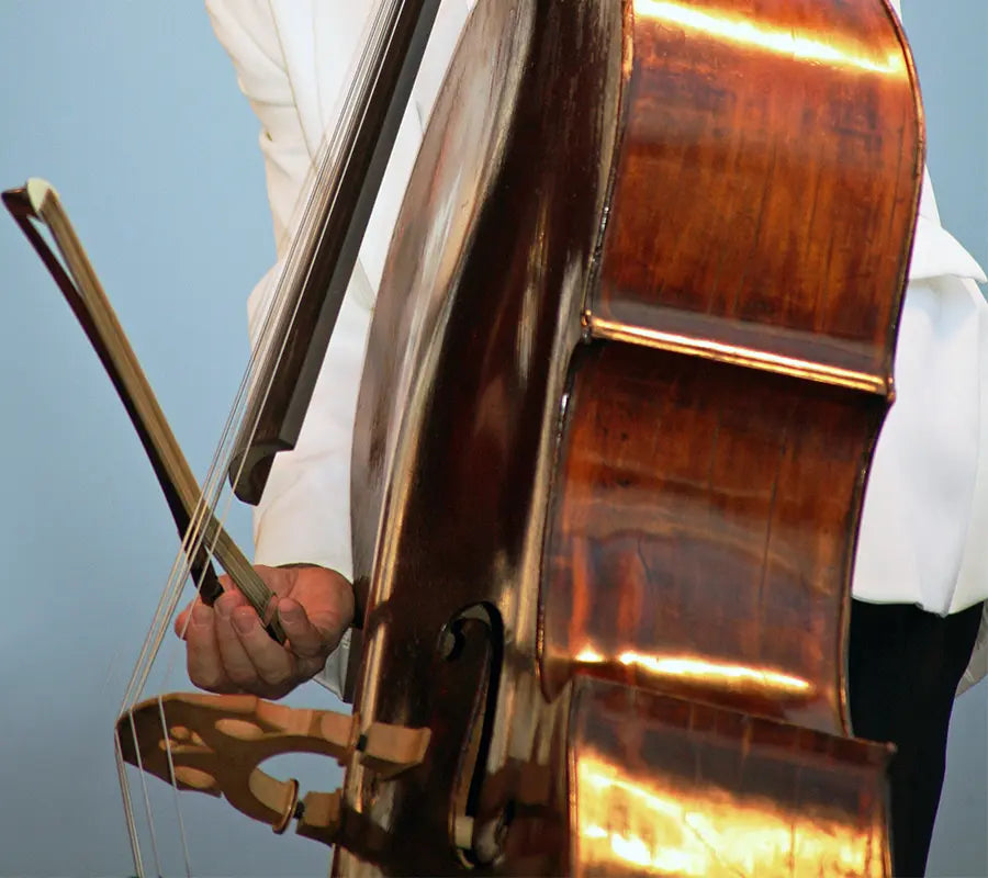 Choosing the Right Bow for Beginner Bass Players: German or French ...
