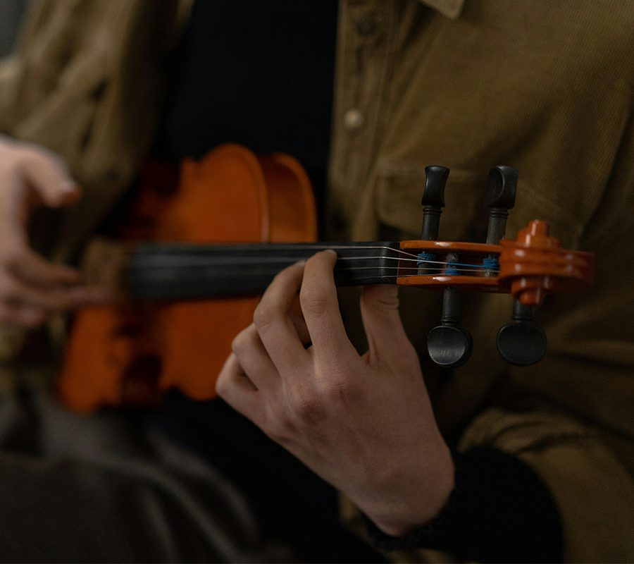 How Many Strings Does a Violin Have? – Fiddlover Violin Shop