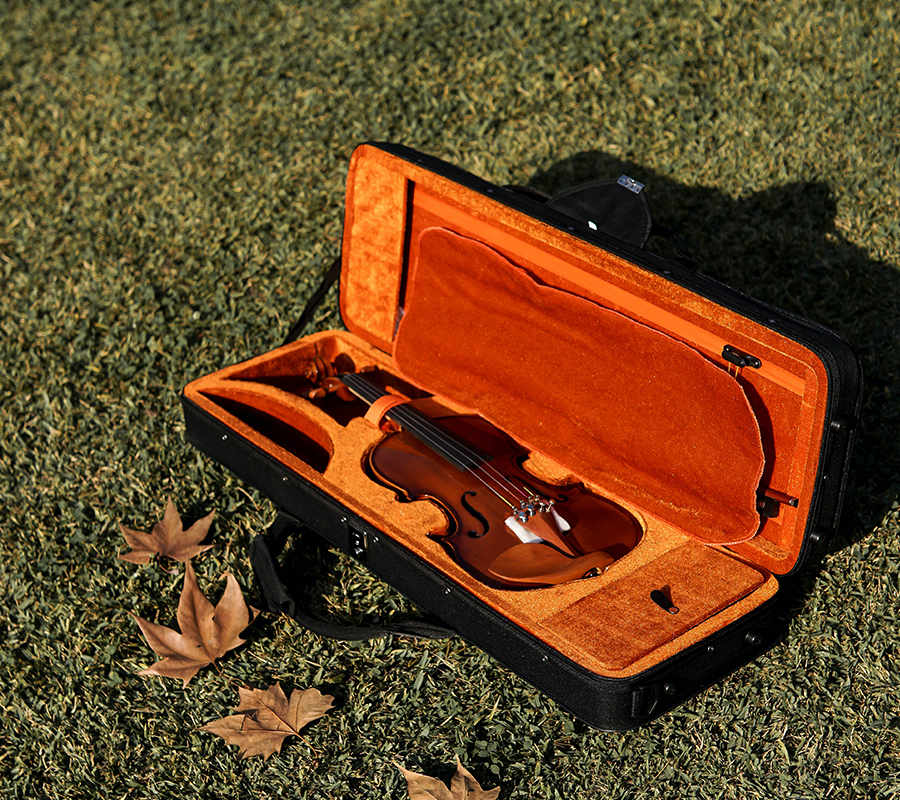 The Bad Effects of Cheap Beginner Violins on Children – Fiddlover ...
