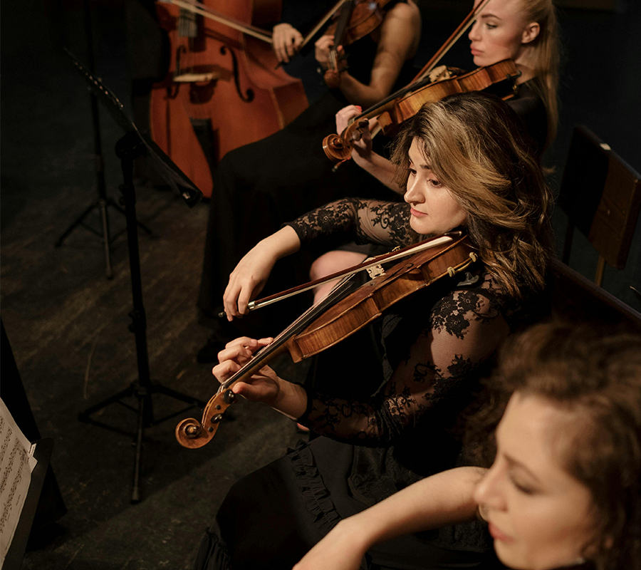 Why the "Queen of Instruments" Holds the Premier Position – Fiddlover ...