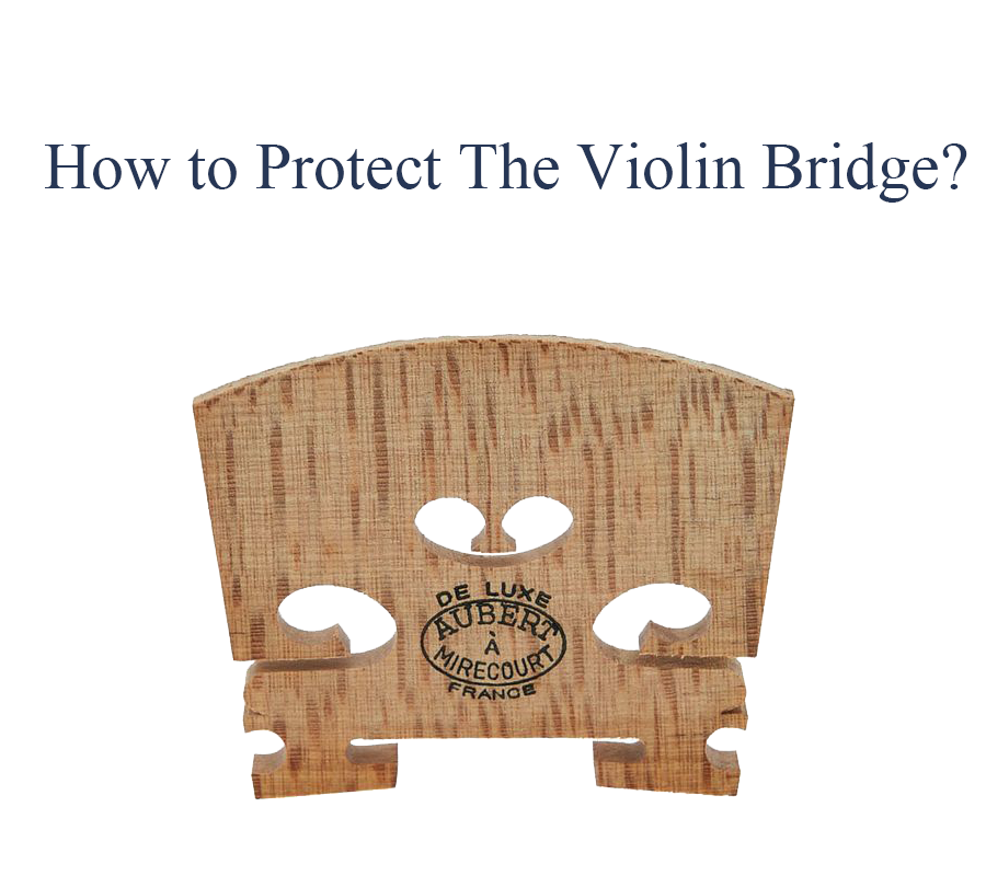 How to protect the violin bridge? – Fiddlover Violin Shop