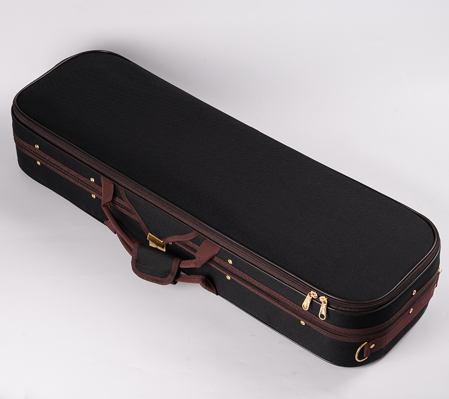 How to Choose a Violin Case – Fiddlover Violin Shop